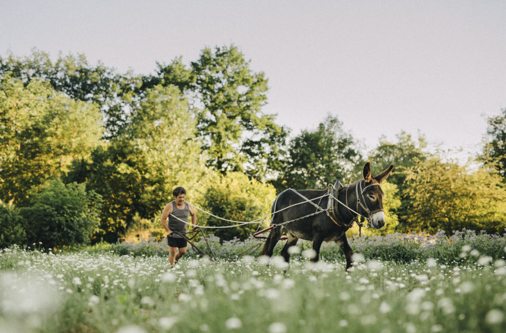 Demeter, la produzione biodinamica italiana a Norimberga - Green Planet